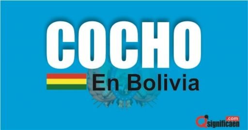 Que significa cocho en Bolivia - Que Significa En